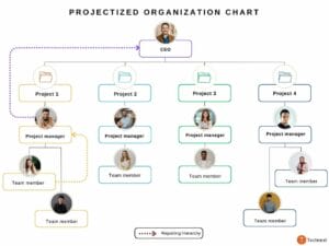 Guide to Ideal Project Management Organizational Structure